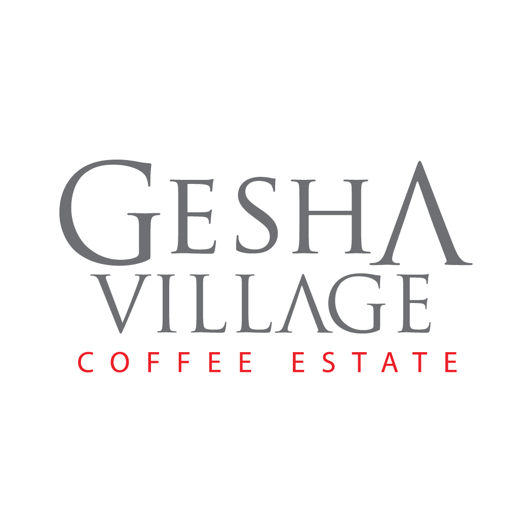GESHA VILLAGE – H Proper Coffee Roasters